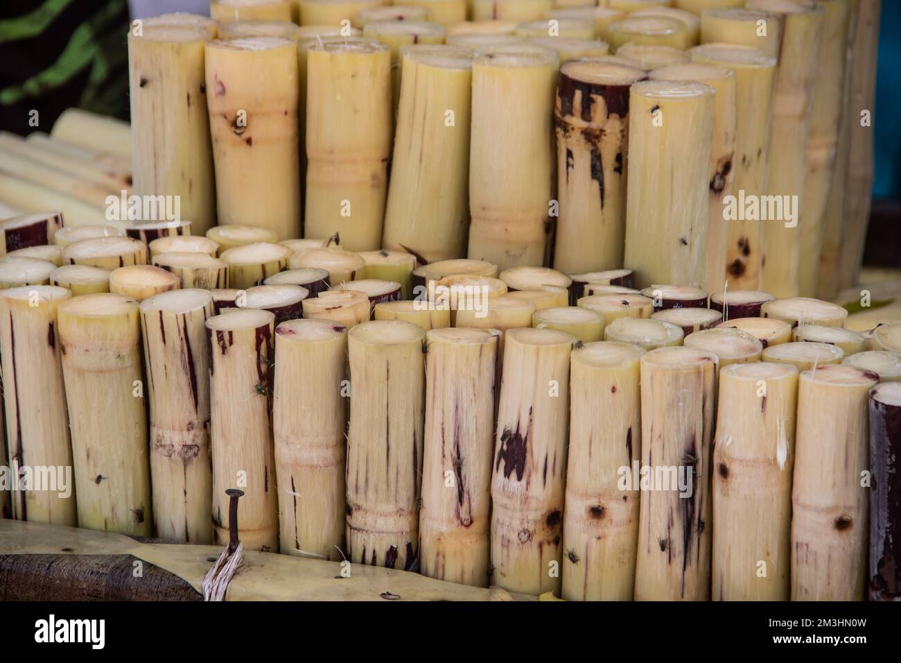 Packs of sugar cane ready to sale in African open street market Stock ...