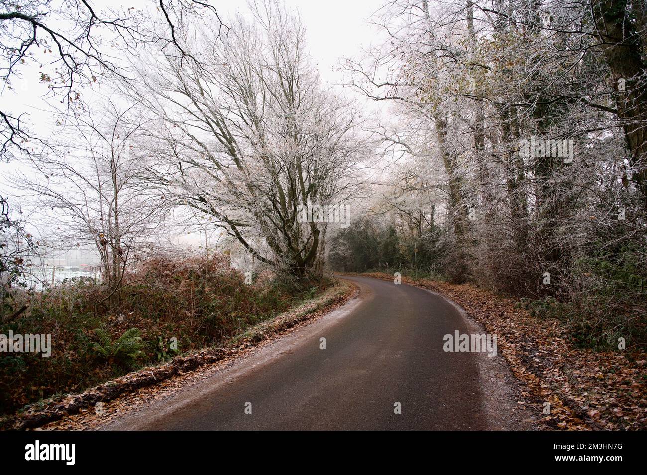 Thick frost hi-res stock photography and images - Alamy