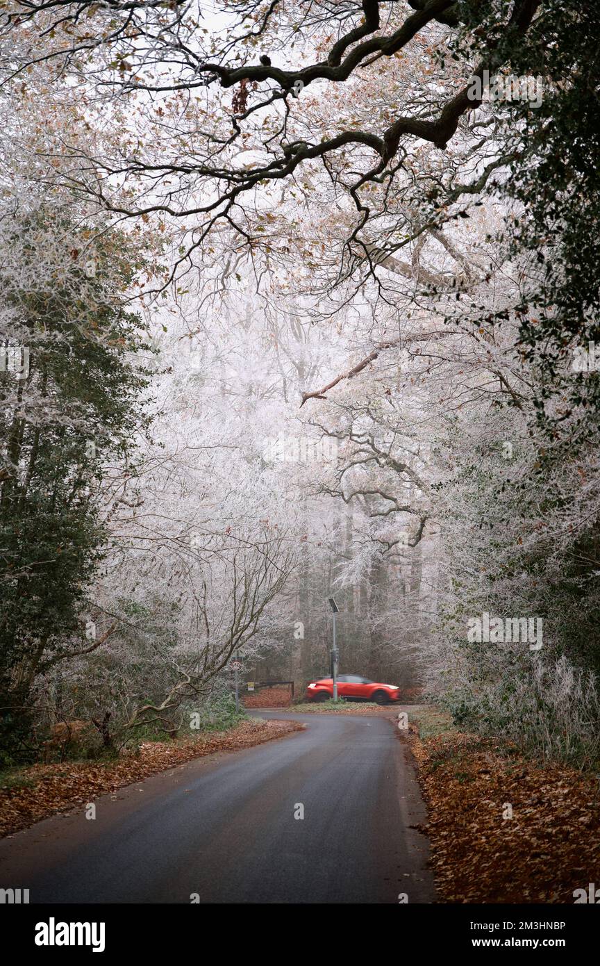 Old car country lane hi-res stock photography and images - Alamy