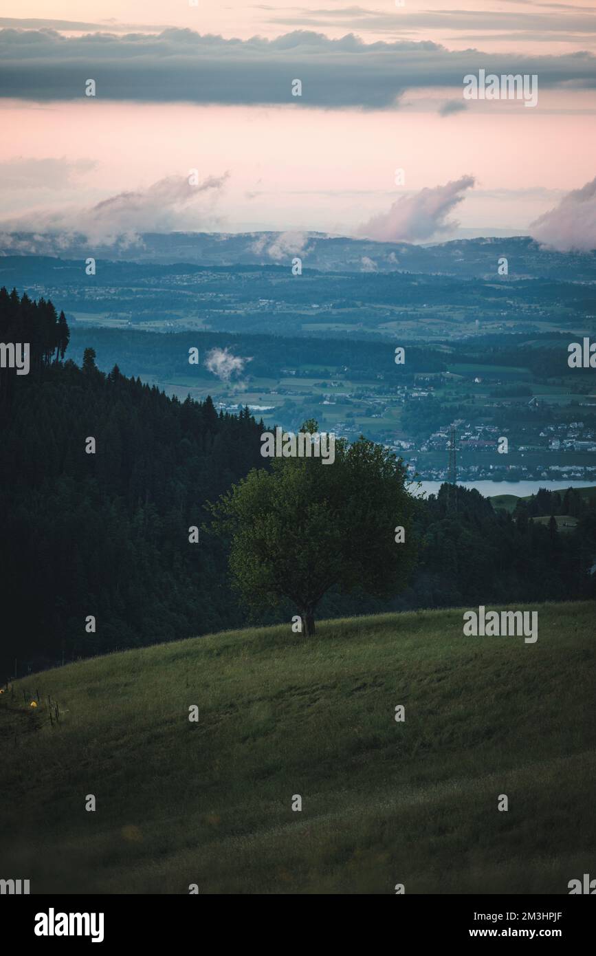 A vertical shot of a tree on green mountain with landscape, cityscape ...