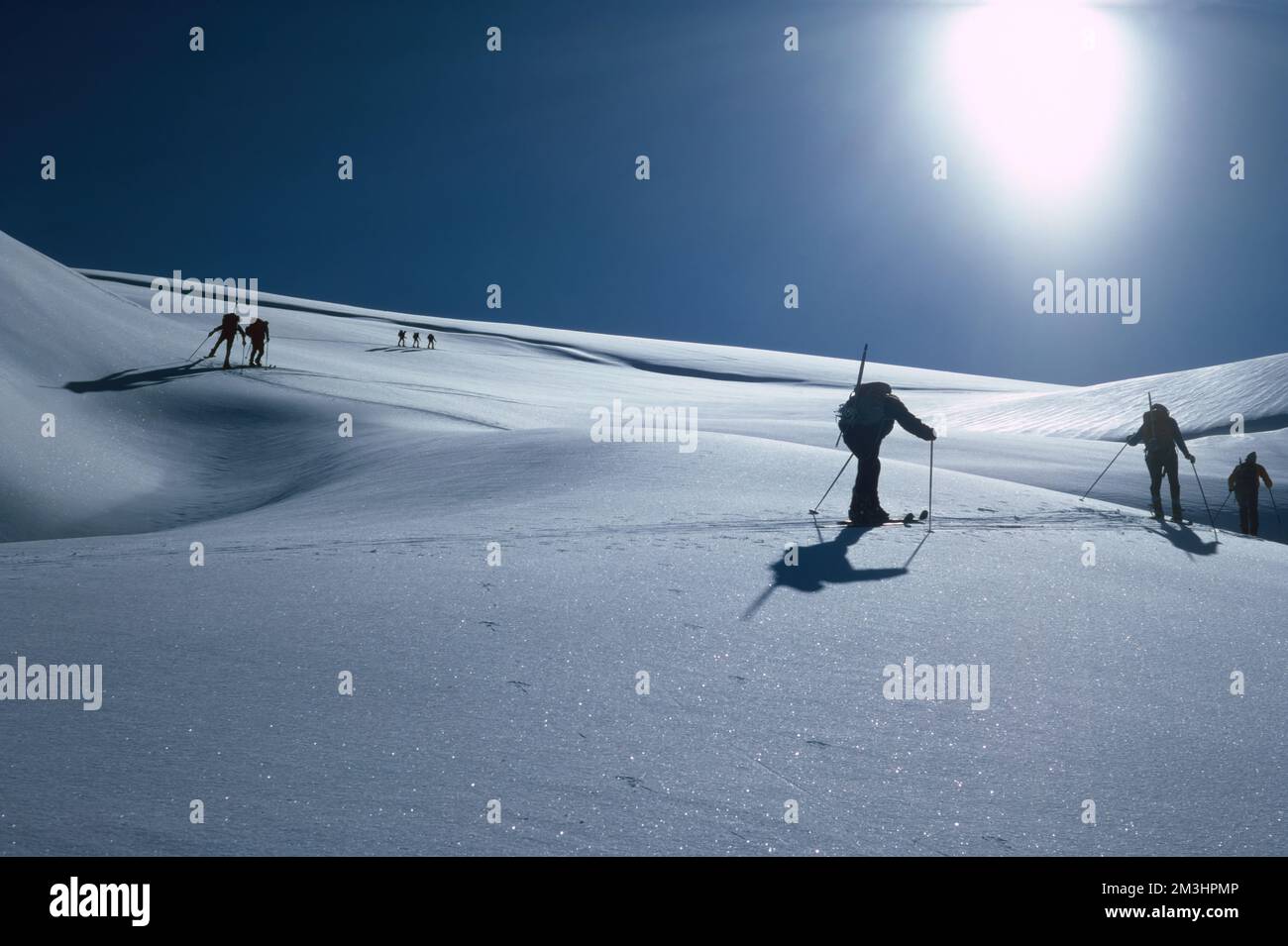 High alpine skiers on the way to the summit in winter Bernese Oberland ...