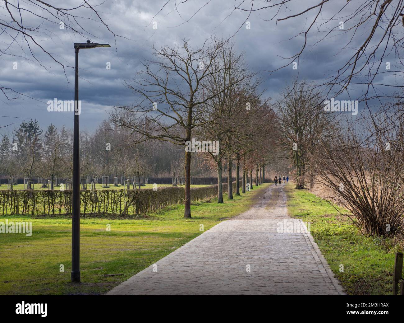 Sidewalk trip and fall hi-res stock photography and images - Alamy