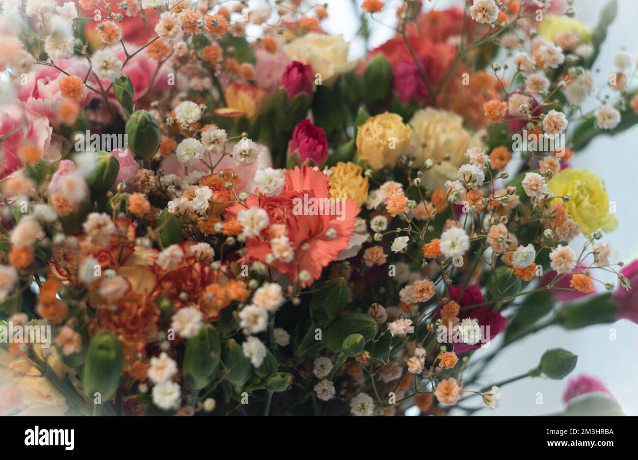 Multicolor bouquet hi-res stock photography and images - Alamy