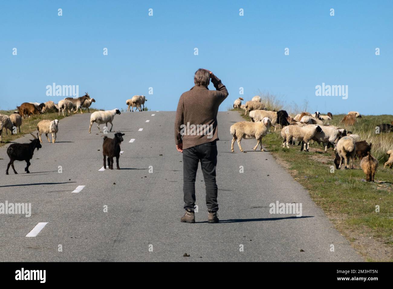 Man standing in the middle of the highway and looking into the distance ...