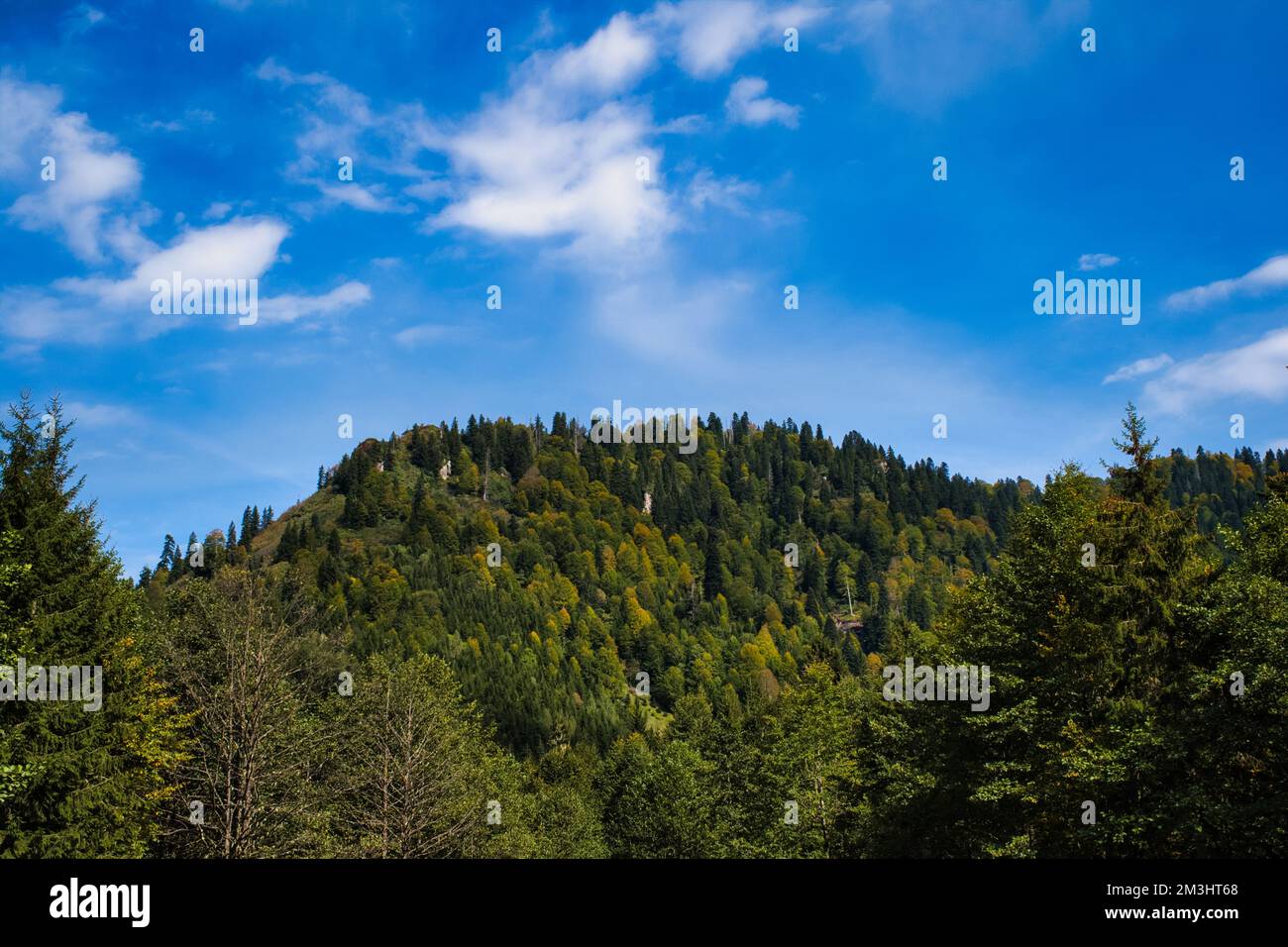 Mountain view at karagol ,Artvin, Turkey Stock Photo - Alamy