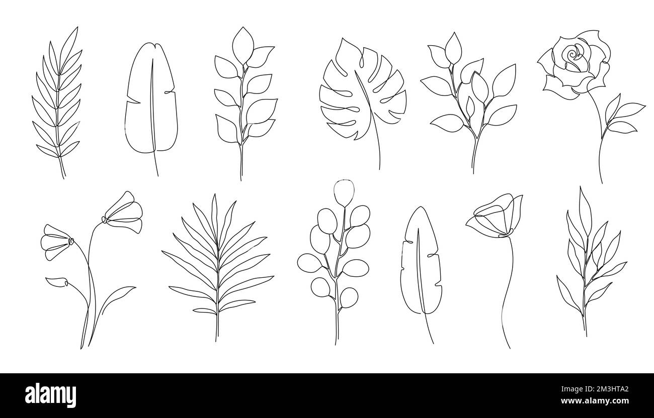 Flower, floral leaf one line art. One continuous line art leaf, flower ...