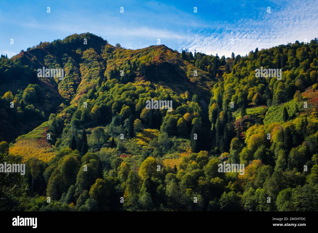 Mountain view at karagol ,Artvin, Turkey Stock Photo - Alamy