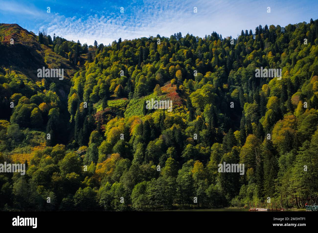 Mountain view at karagol ,Artvin, Turkey Stock Photo - Alamy