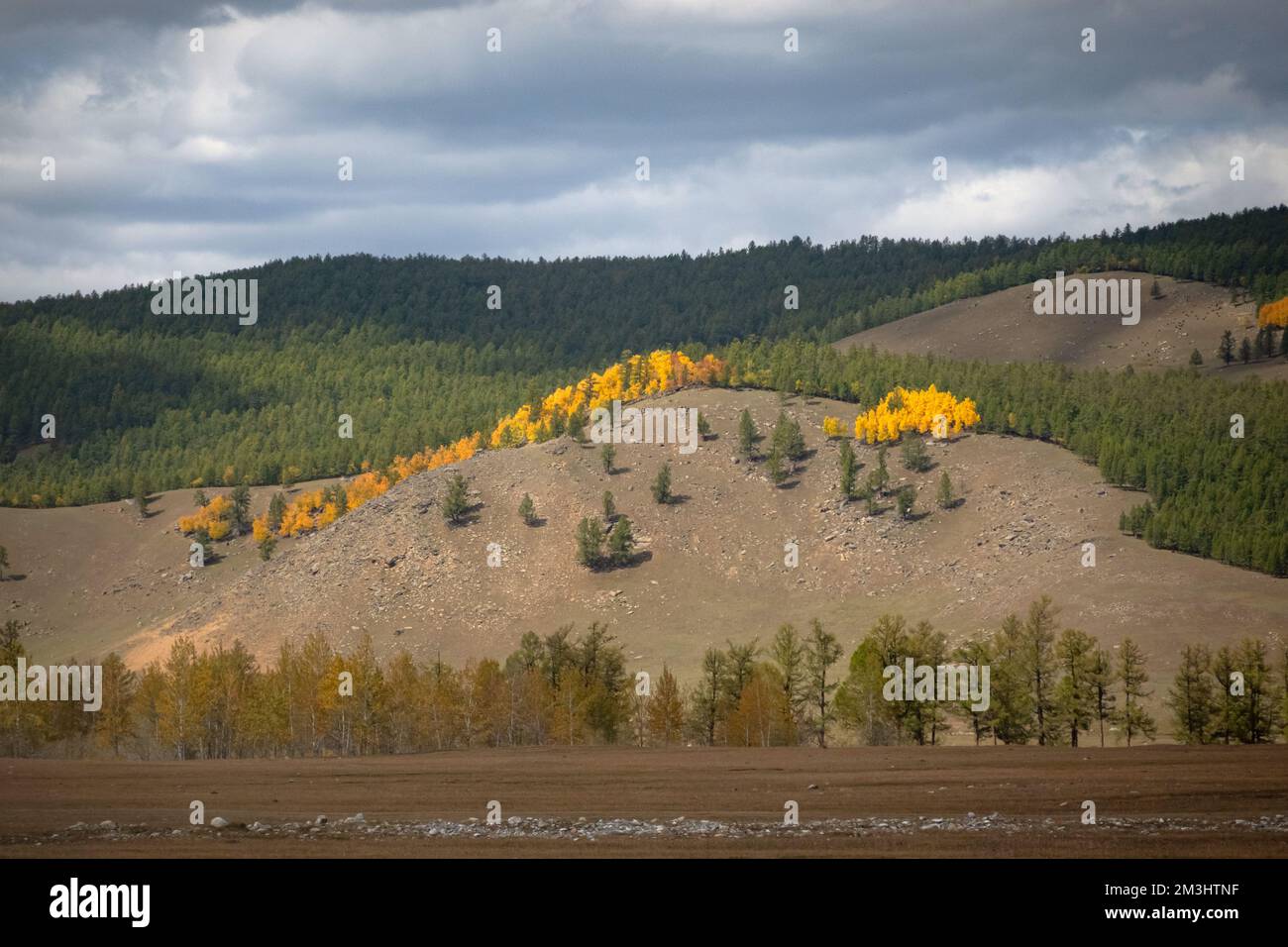 Open fields and majestic mountains in the background. Rural countryside ...