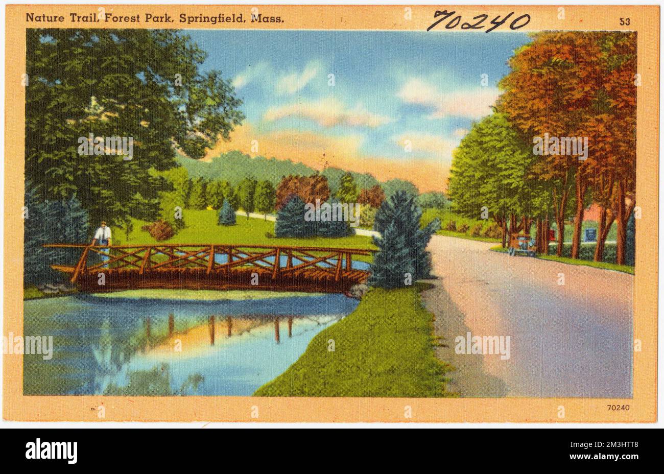 Nature trail, Forest Park, Springfield, Mass. , Trails & paths, Parks ...