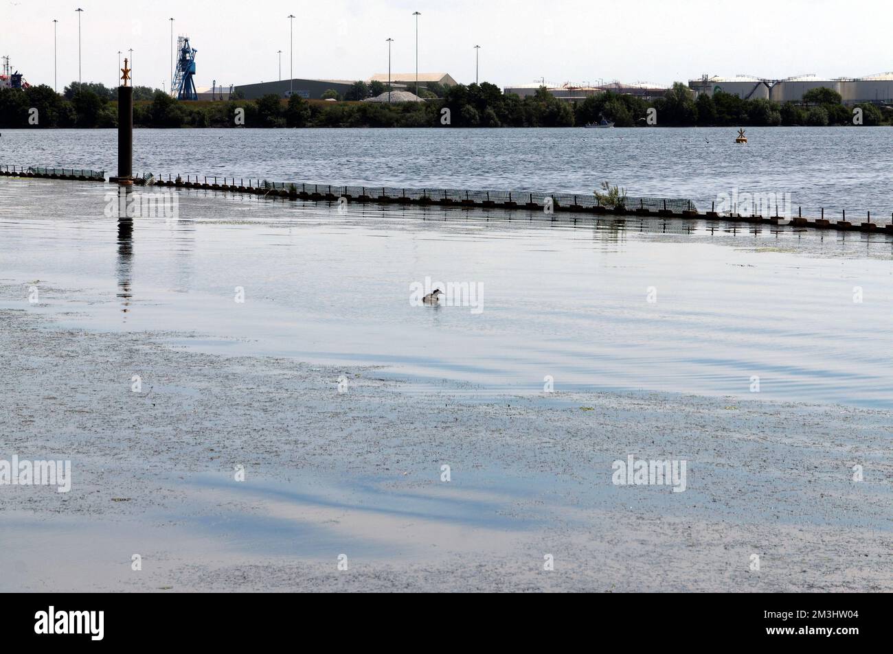 cardiff bay wetland nature reserve. Cardiff views. Taken 2022.cym Stock ...