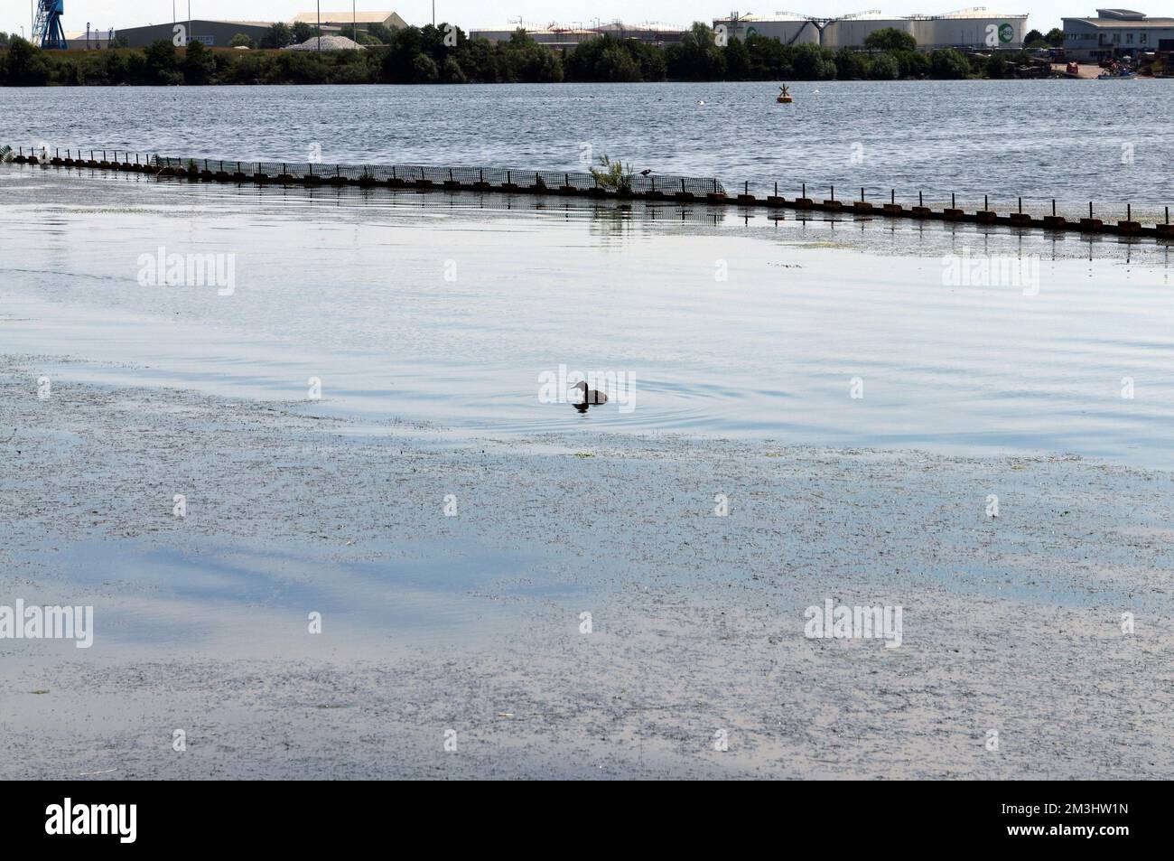 Cardiff bay wetland nature reserve. Cardiff views. Taken 2022.cym Stock ...