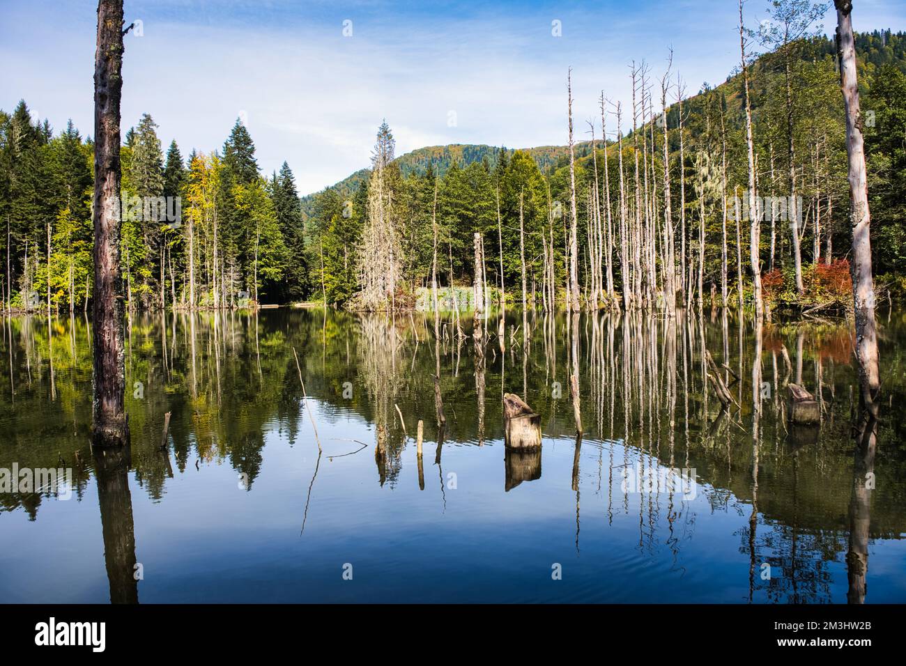 Lake view at Karagol,Artvin,Turkey Stock Photo - Alamy
