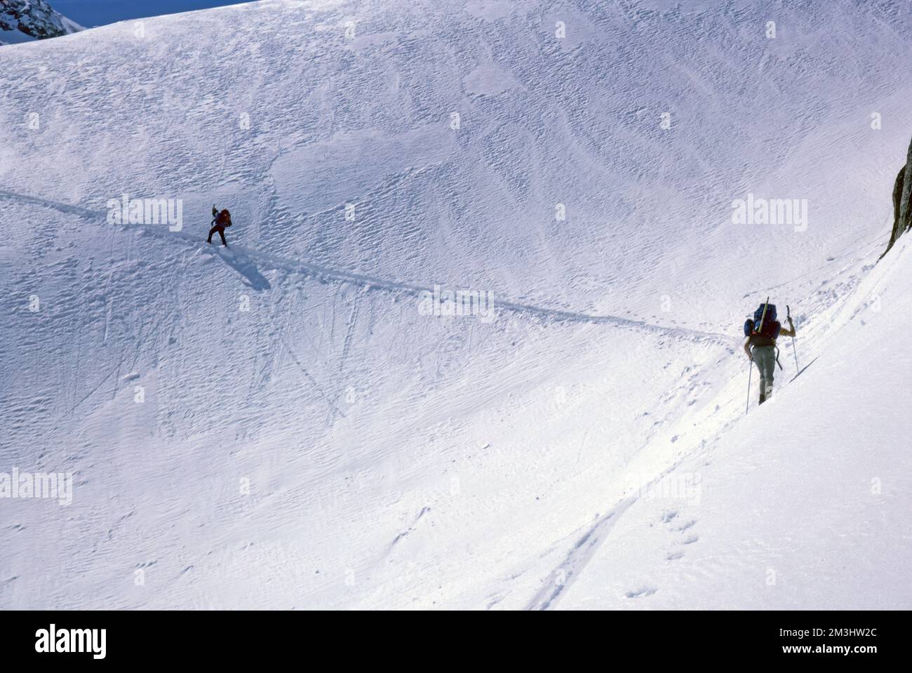 High alpine skiers on the way to the summit in winter Bernese Oberland ...