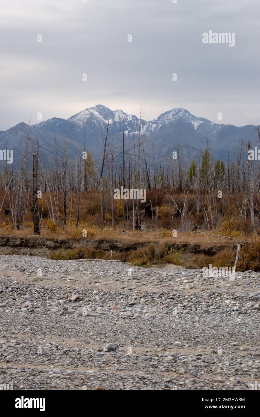 Dried up river bed in a rural countryside with the snowy mountains in ...