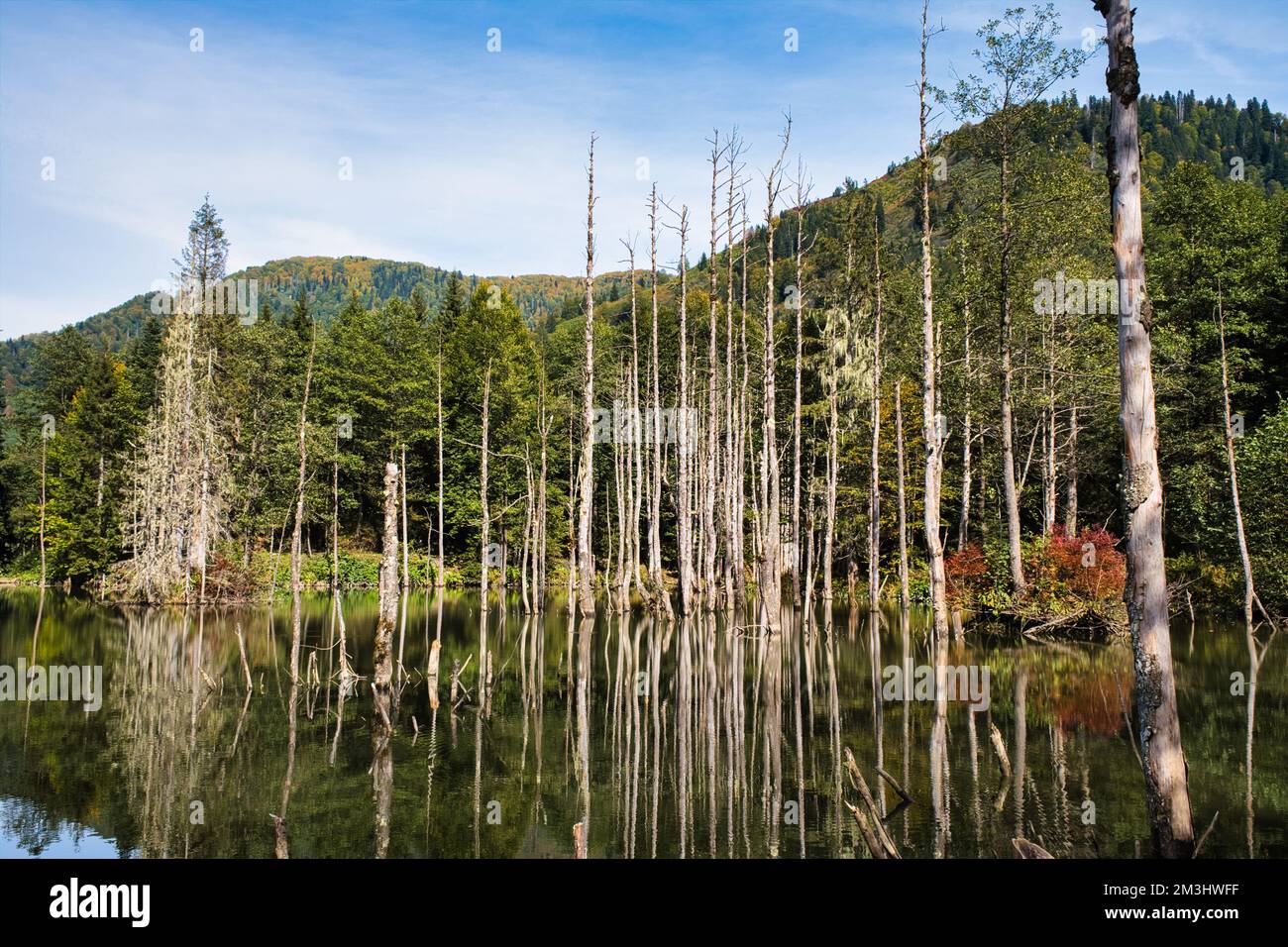 Lake view at Karagol,Artvin,Turkey Stock Photo - Alamy