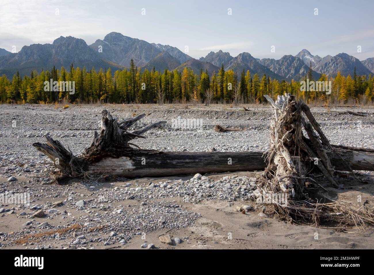 Dried up river bed in a rural countryside with the snowy mountains in ...