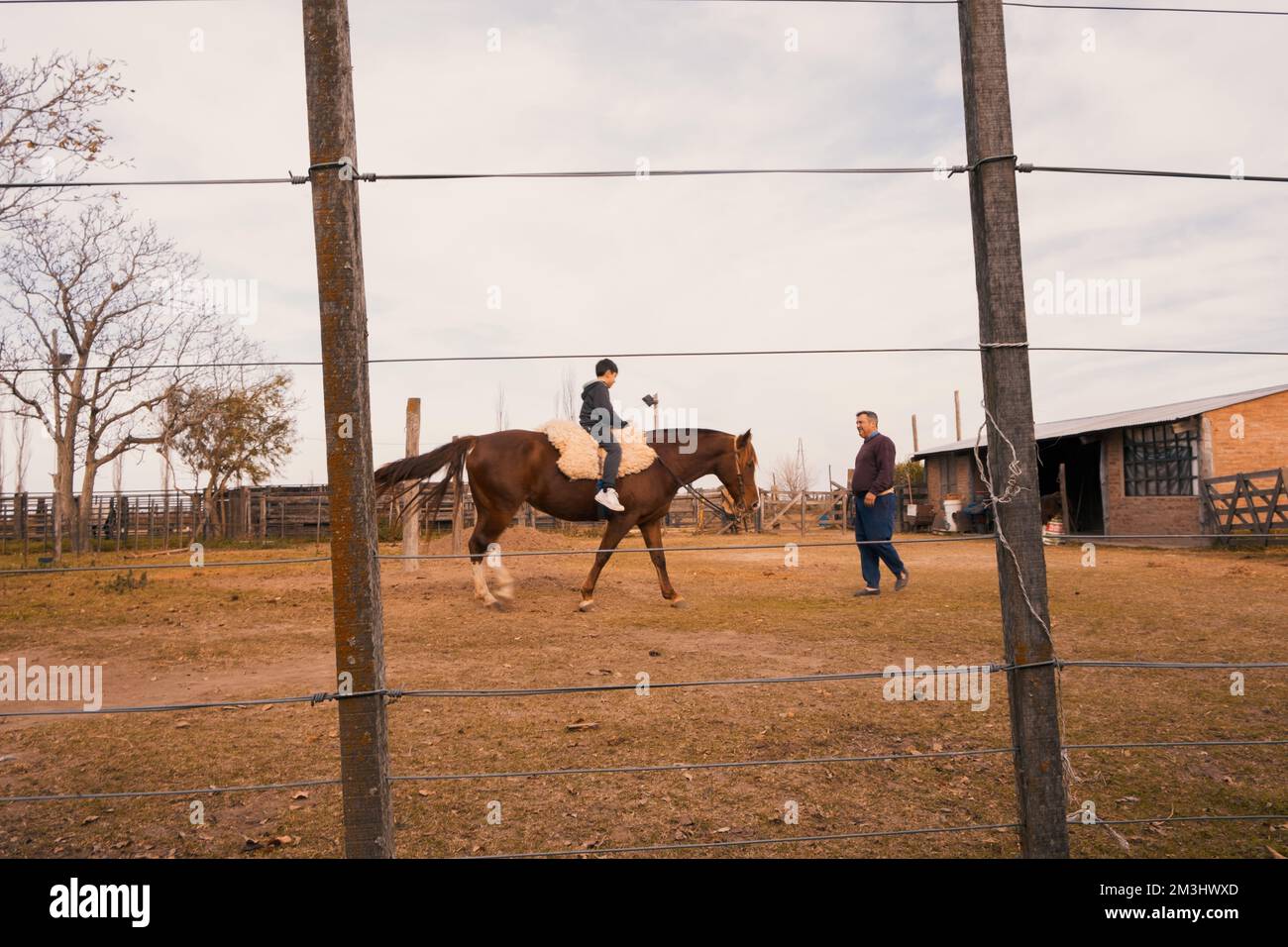 A little boy, sitting on a fluffy saddle and riding a brown-furred ...