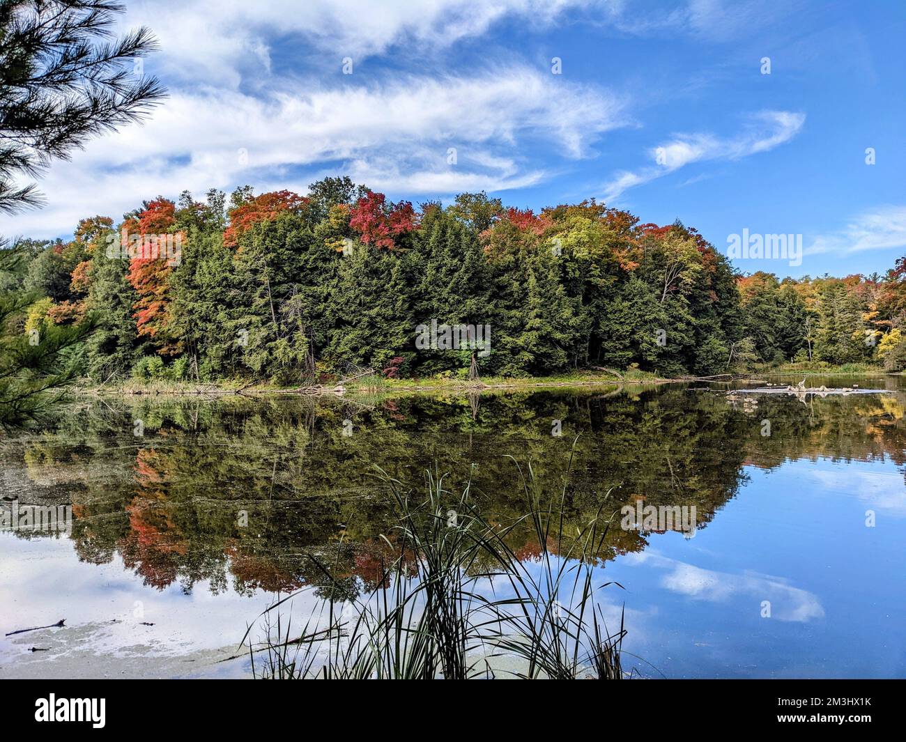 A beautiful shot of trees reflected on a lake Stock Photo - Alamy