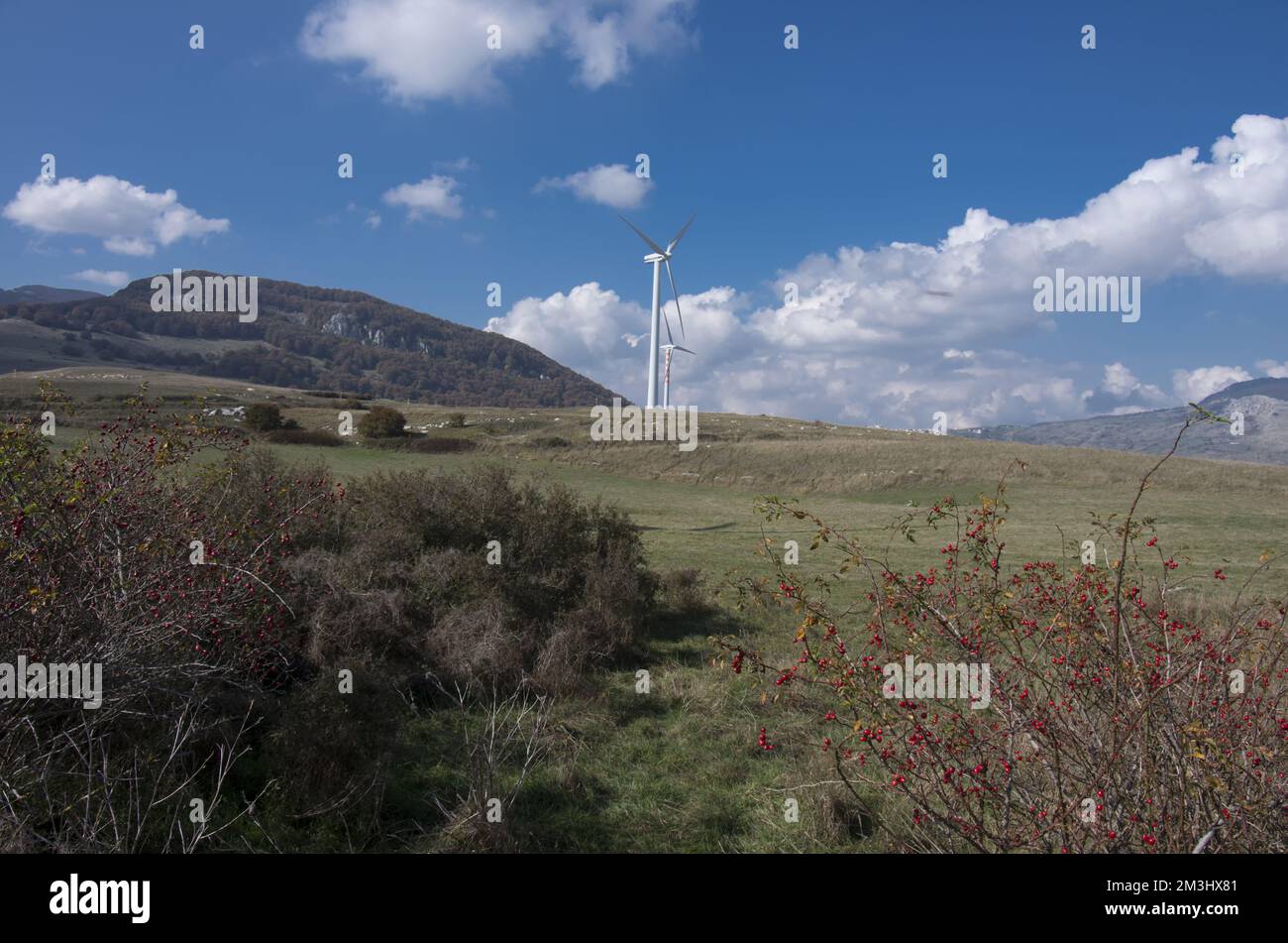 Capracotta - Molise - View of the valley in autumn, rose hip plants in ...