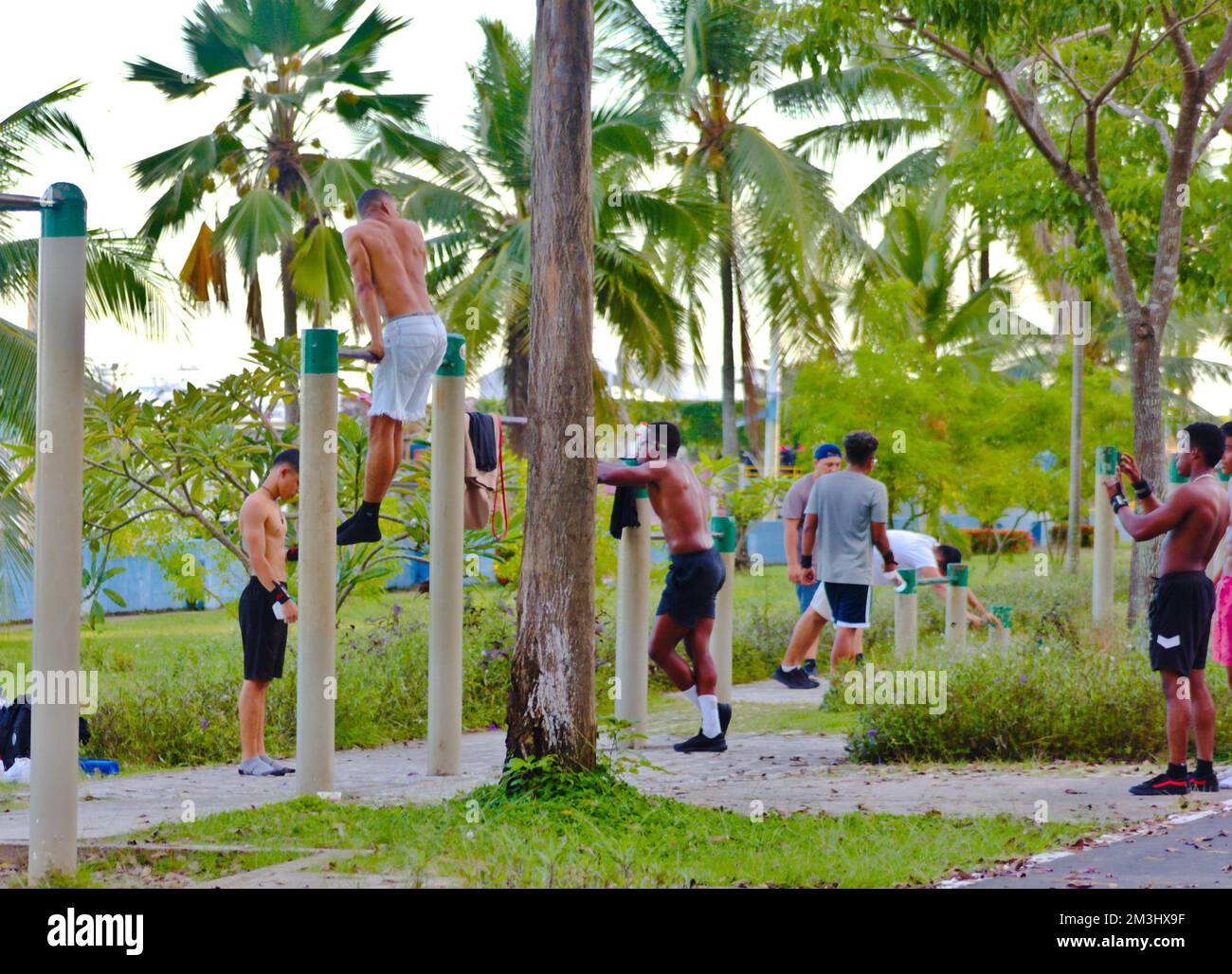 Healthy lifestyle people running exercising hi-res stock photography ...