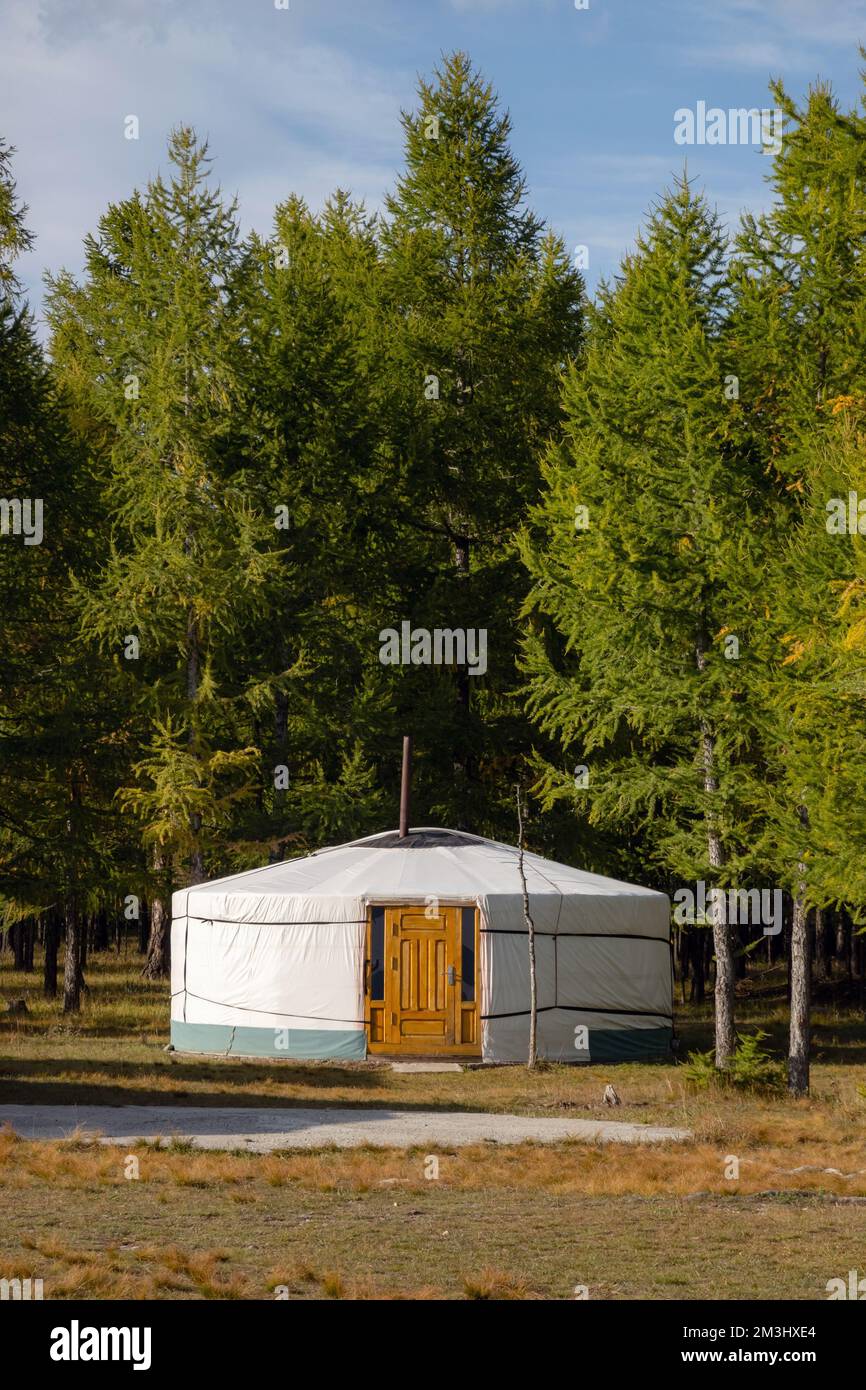 Yurt camp on a beautiful sunny day in Mongolia. Ger campsite in rural ...