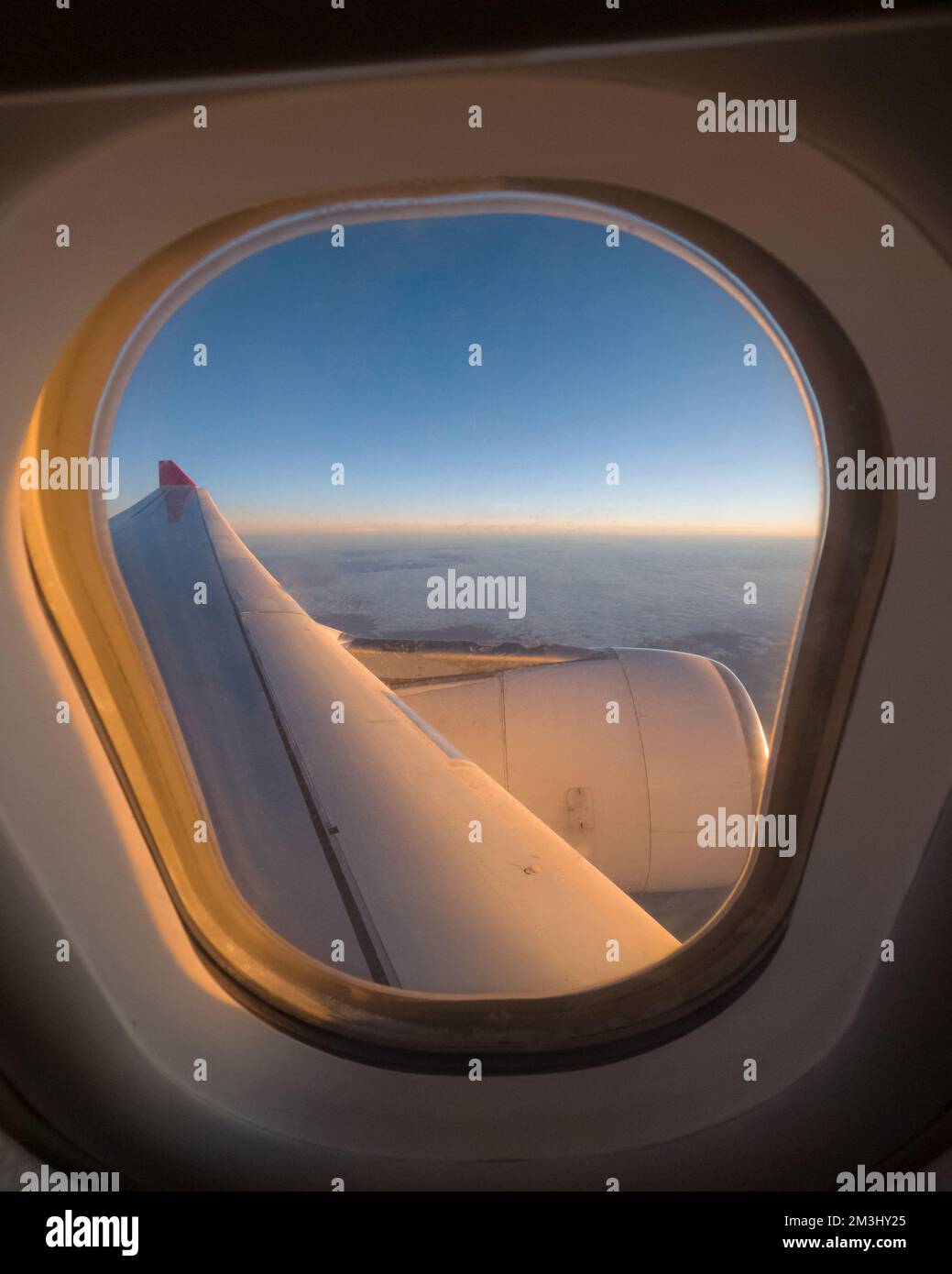 Wing glasses hi-res stock photography and images - Alamy