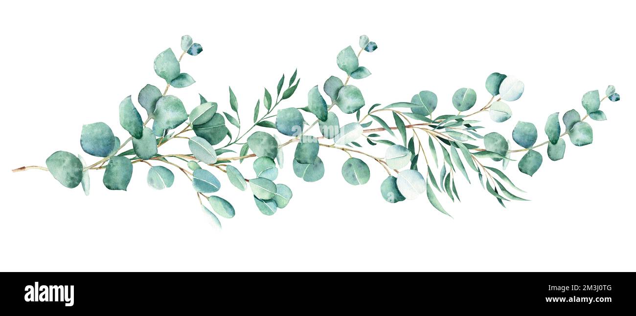 Watercolor eucalyptus bouquet isolated on white background. Rustic ...