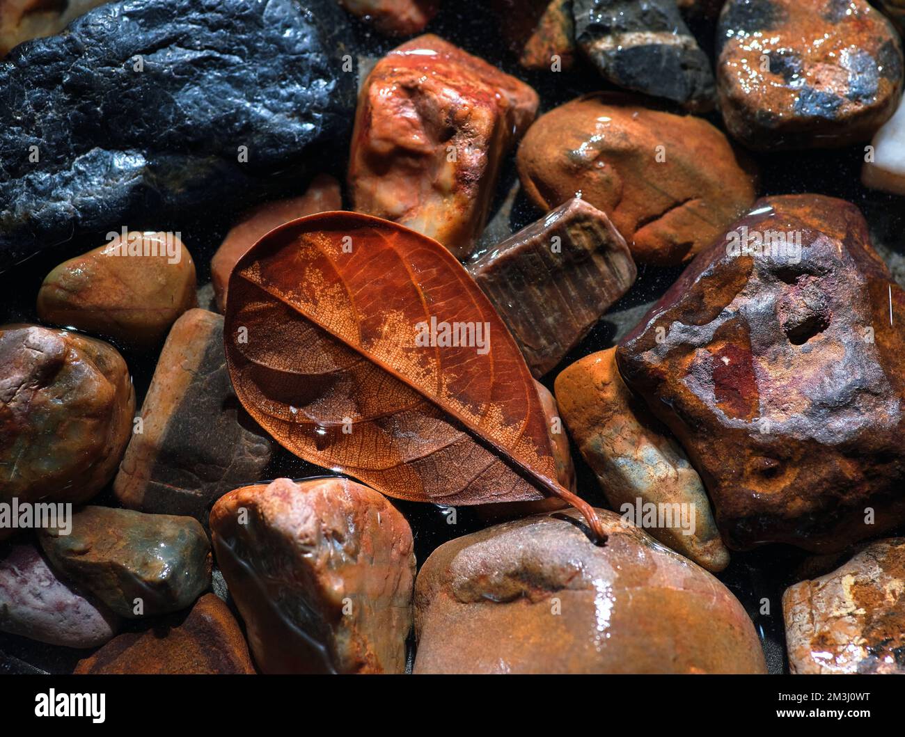 Background of the leaf and stones in the water Stock Photo - Alamy