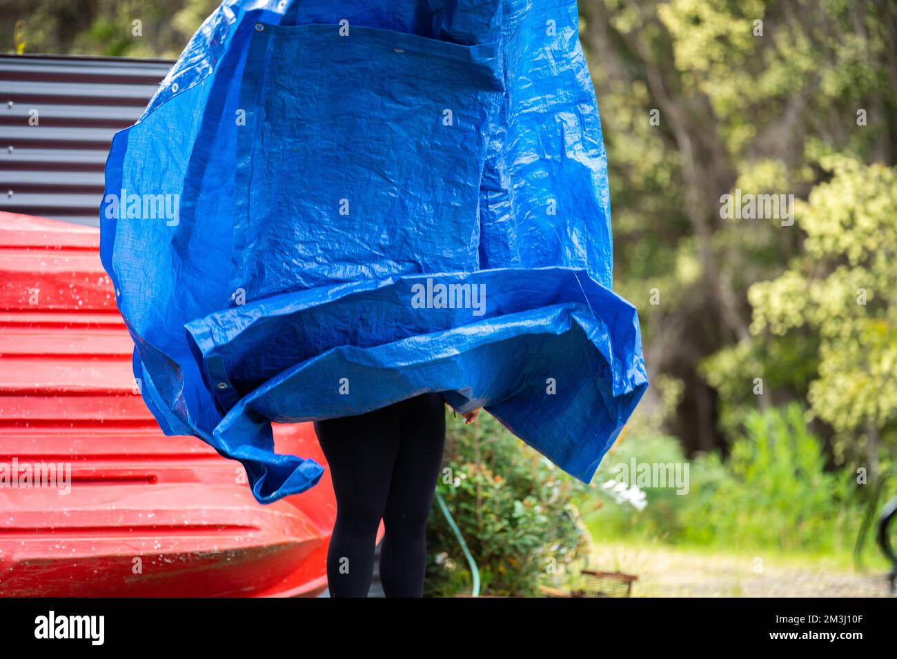 folding up a blue tarp after camping at a music festival in australia ...