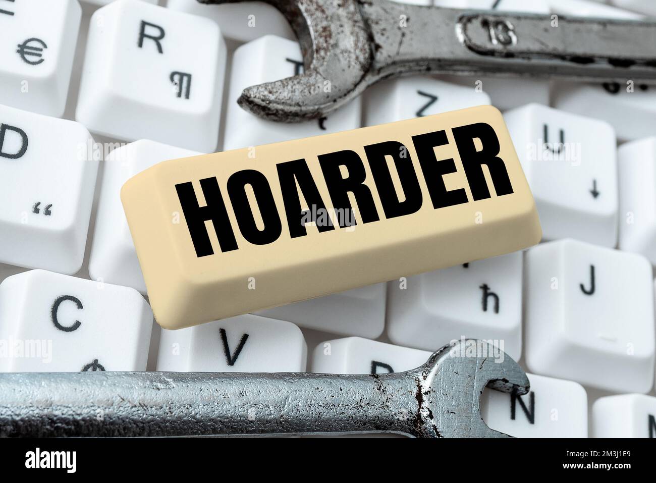 Text caption presenting Hoarder. Word for a person that accumulates ...