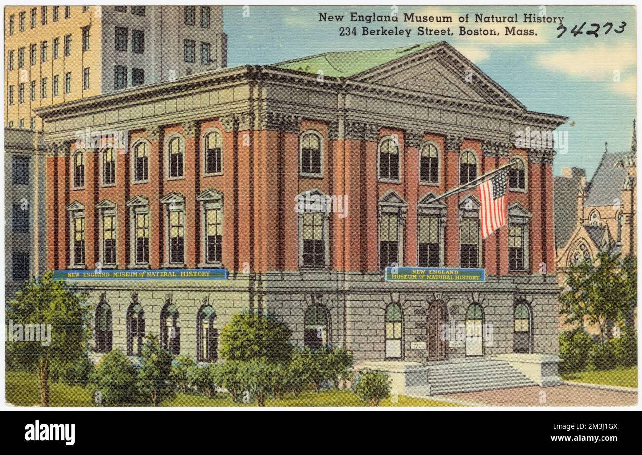 New England Museum of Natural History, 234 Berkeley Street, Boston ...