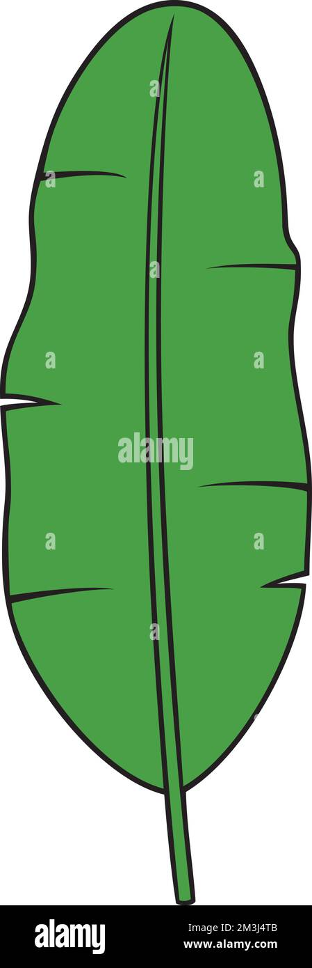 Banana leaf color Stock Vector Images - Alamy