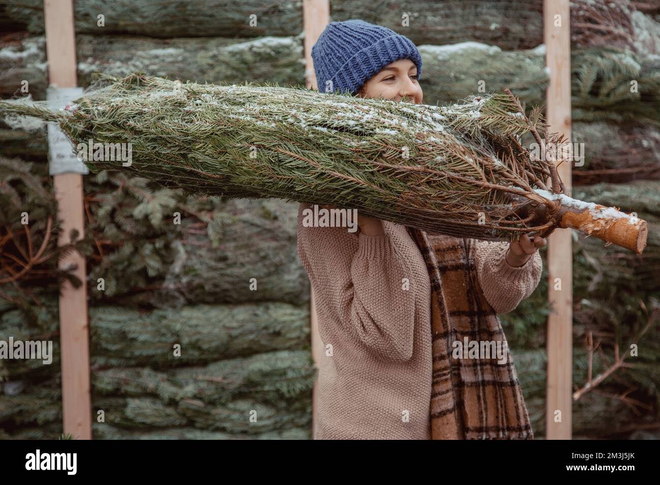A beautiful girl in a blue cap, scarf carries a Christmas tree on her ...
