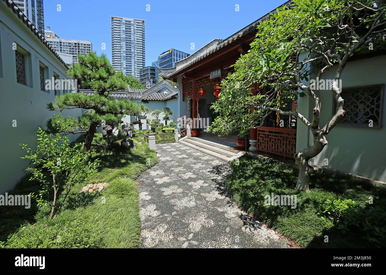 Walk path between trees - Chinese Garden, Sydney Stock Photo - Alamy