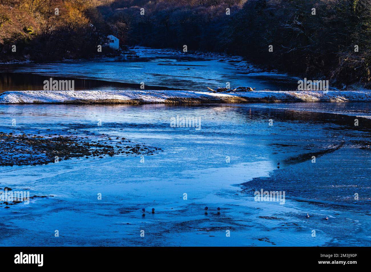 The River Lune, Halton, Lancashire, 15th December 2022 The frozen ...
