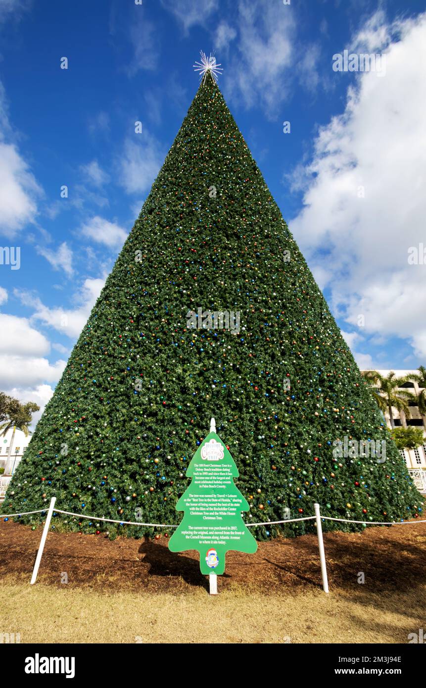 100 ft christmas tree hi-res stock photography and images - Alamy