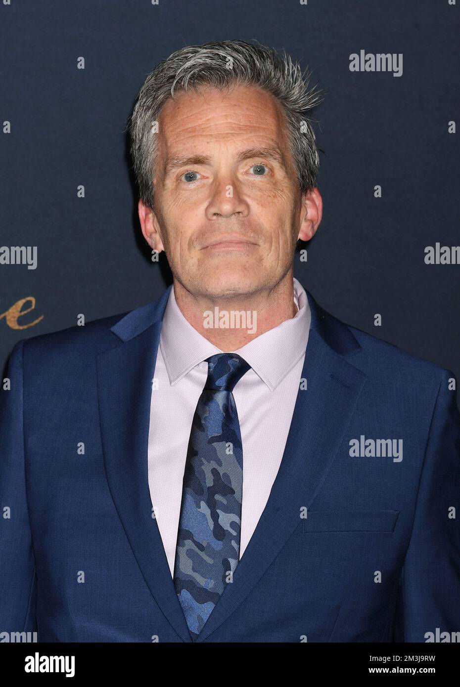 LOS ANGELES, CALIFORNIA - DECEMBER 14: Louis Bayard attends "The Pale ...