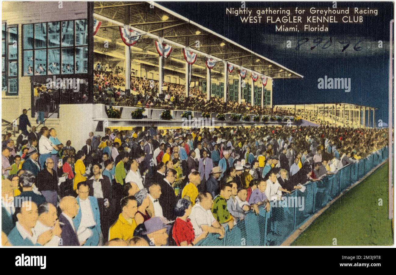 Nightly gathering for greyhound racing, West Flagler Kennel Club, Miami ...