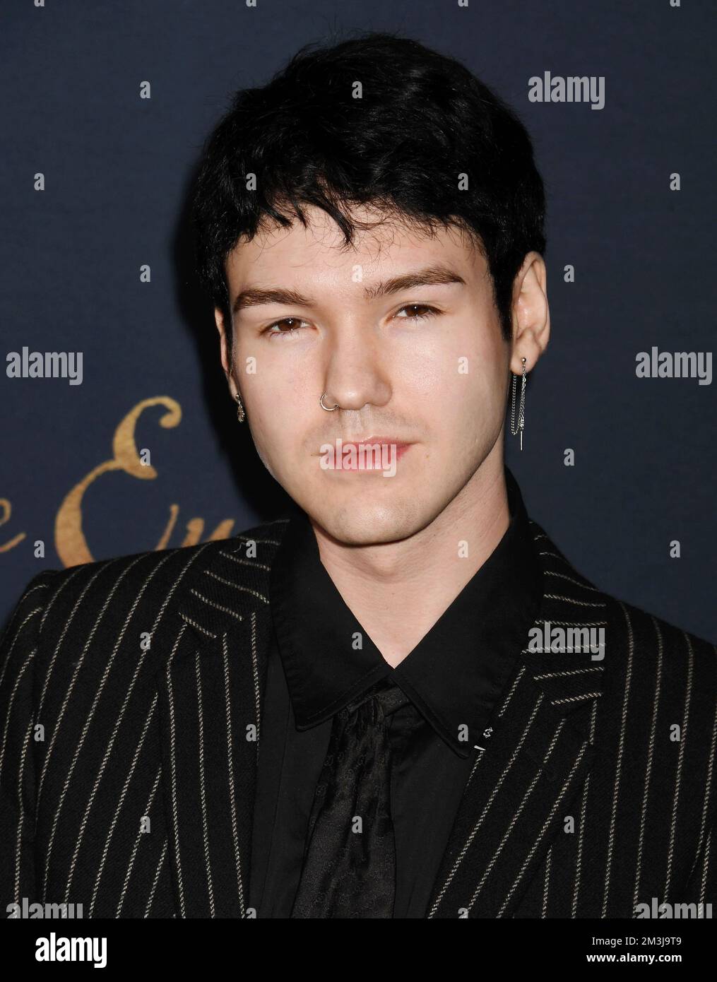 LOS ANGELES, CALIFORNIA - DECEMBER 14: Goody Grace attends "The Pale ...