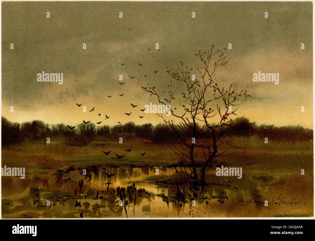 No. 307 , Trees, Bodies of water. Louis Prang & Company Collection ...