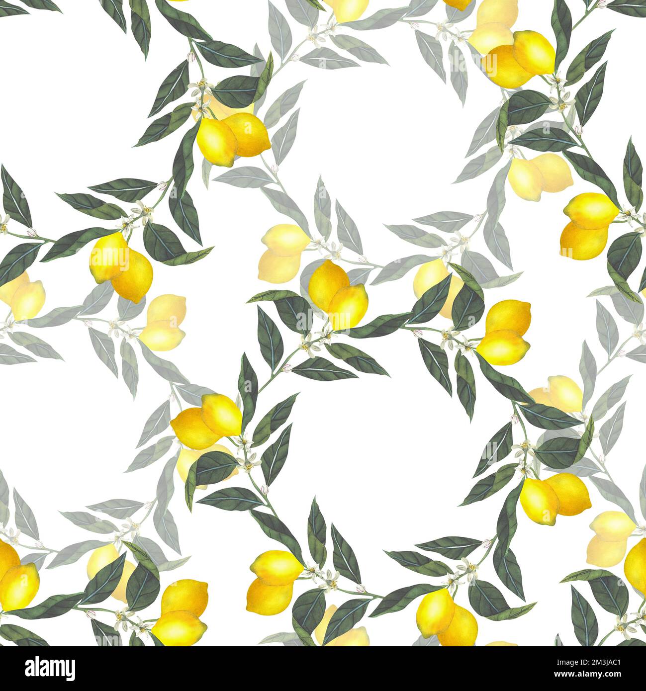 Watercolor seamless pattern with illustration of branch with fresh ...