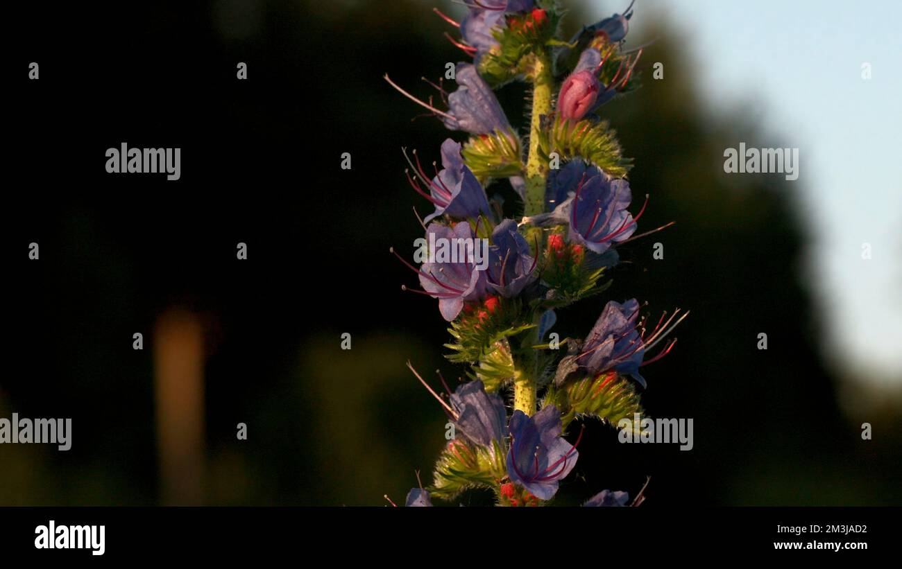 Super slow motion shot air hi-res stock photography and images - Alamy