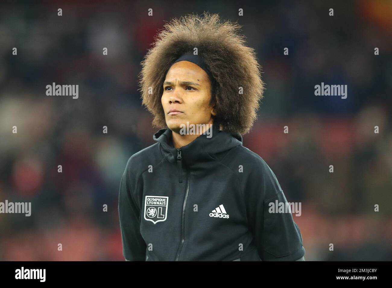 Uk renard hi-res stock photography and images - Alamy