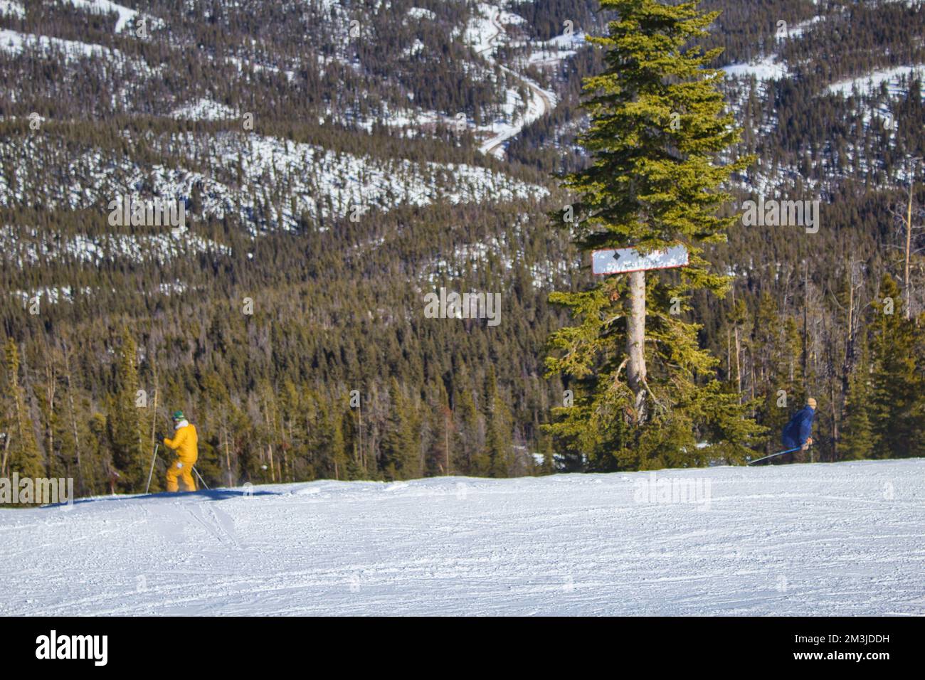 Two Skiers Standing Apart at Maverick Mountain Ski Area in Montana ...