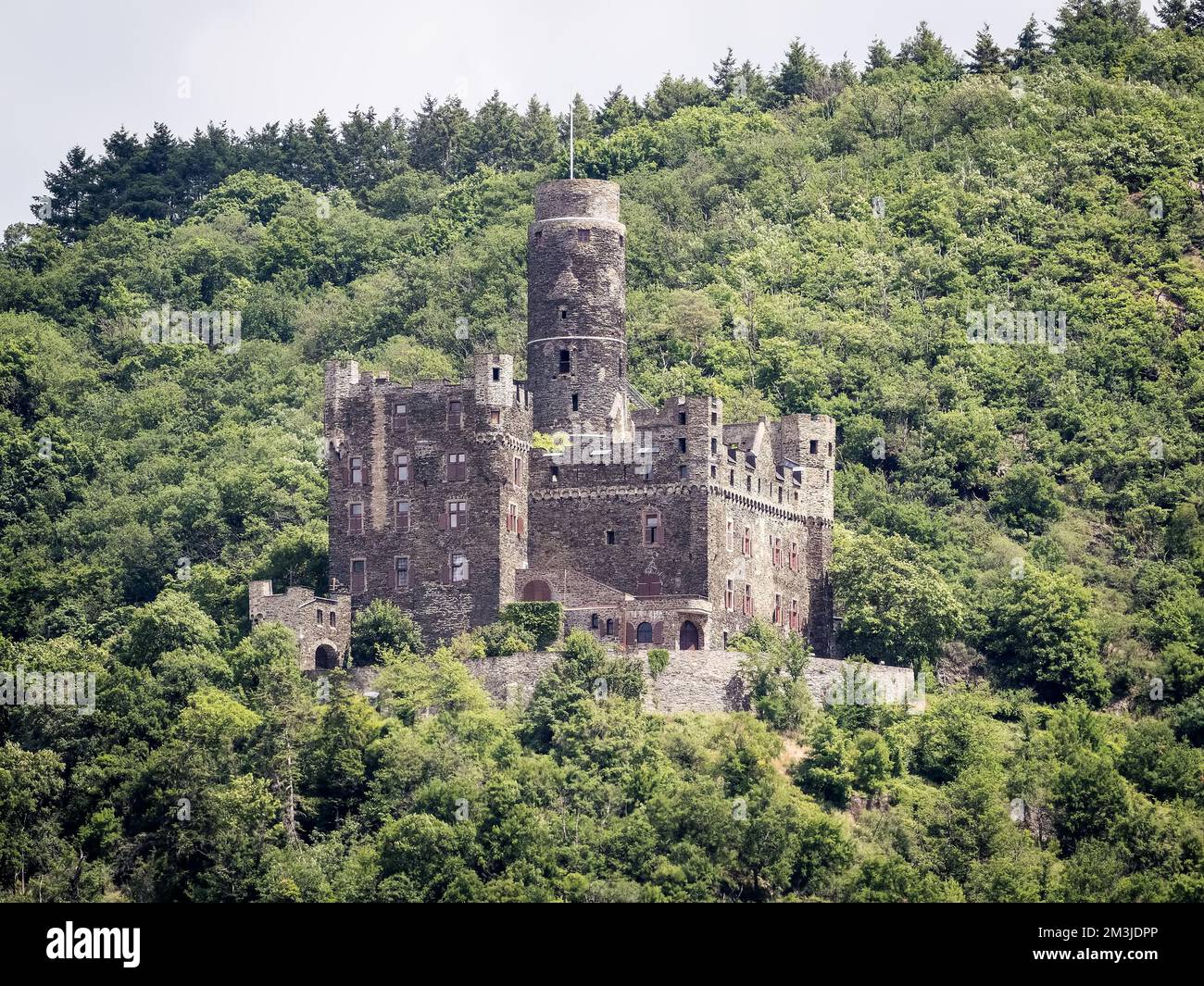 Castle on the Rhine River, Germany Stock Photo - Alamy
