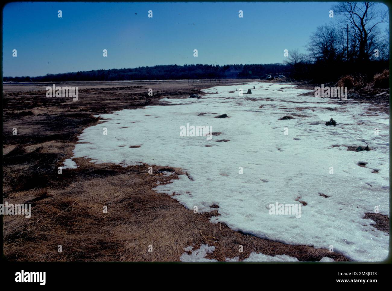 North River Marshes, Scituate Mass. , Rivers, Wetlands, Grasses ...
