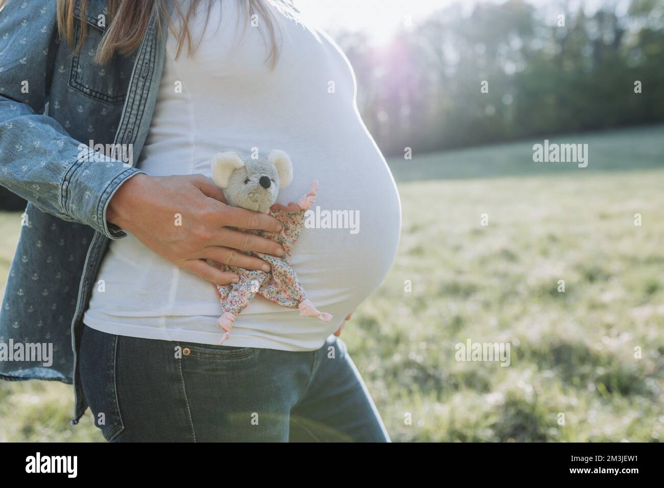 Pregnant mouse hi-res stock photography and images - Alamy