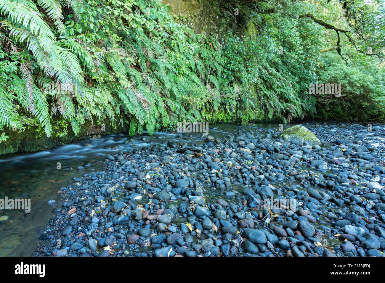 Old coach bike trail hi-res stock photography and images - Alamy