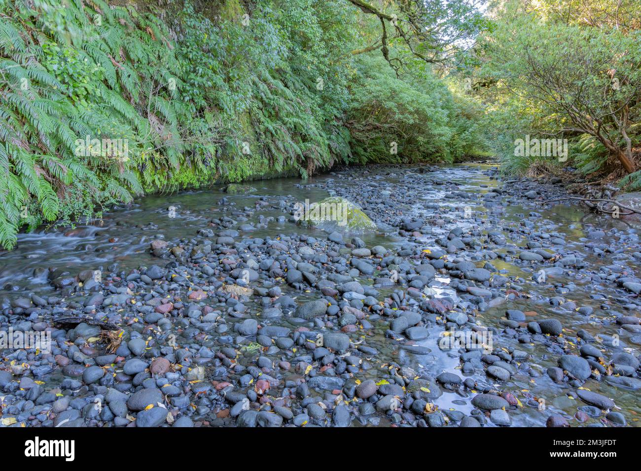 Overhung trees hi-res stock photography and images - Alamy
